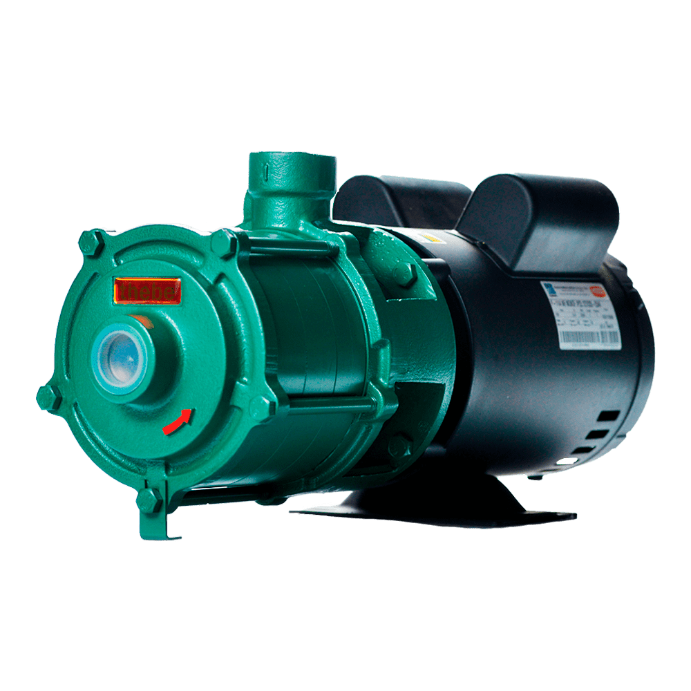 BOMBA THEBE P-11/3 BR 1,5 CV ØBRONZE MONO 127/220-254V - Casa da Thebe